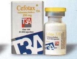 Cefotax T3A 250mg Vial - Rosheta