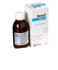 Neocef 250mg Syrup - Rosheta
