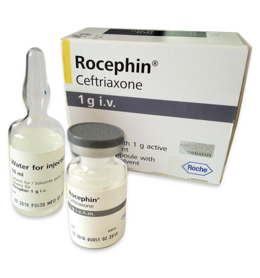 Rocephin 1000mg Vial Rosheta