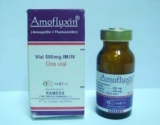 Amofluxin 500 mg Vial - Rosheta