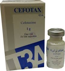 Cefotax T3A 1000mg Vial - Rosheta