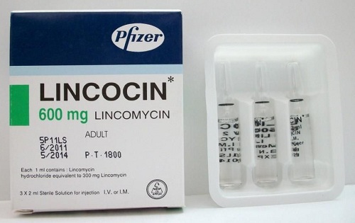 Lincocin 600mg Ampoules - Rosheta