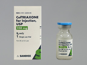 Ceftriaxone 250mg Ampoules - Rosheta