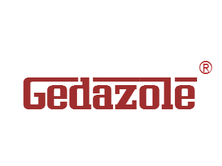 Gedazole 500mg Tablets - Rosheta
