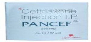 Pancef 250mg Vial - Rosheta
