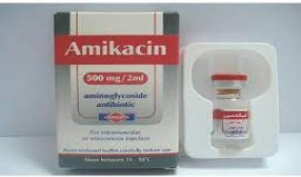 Amikin 100mg Vial - Rosheta