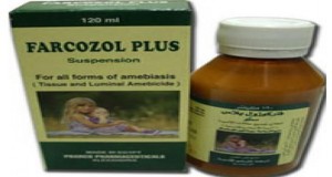 Dilozole 120 ML Syrup - Rosheta