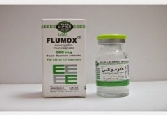 Flumox 500 mg Vial - Rosheta