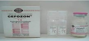 Cefozon 1gm Vial - Rosheta