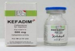 Kefadim 500mg Vial - Rosheta