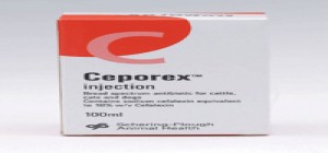 Ceporex 500mg Ampoules - Rosheta