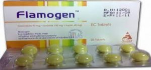 Flamogen 90mg Tablets - Rosheta