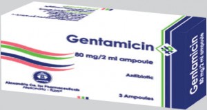 Gentamicin 40mg Ampoules - Rosheta
