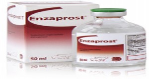 Prostin-E2 2alpha Tablets - Rosheta