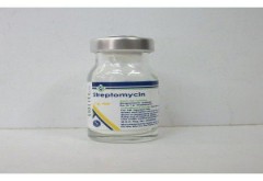 Streptomycin 1000mg Vial - Rosheta