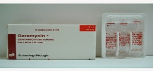 Garamycin Amp. 80mg Ampoules - Rosheta