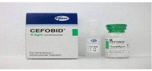 Cefobid 500mg Vial - Rosheta