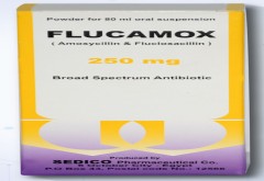 Flucamox 250 mg Syrup - Rosheta
