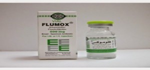 Flumox 500 mg Vial - Rosheta