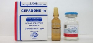 Cefaxone 500mg Vial - Rosheta