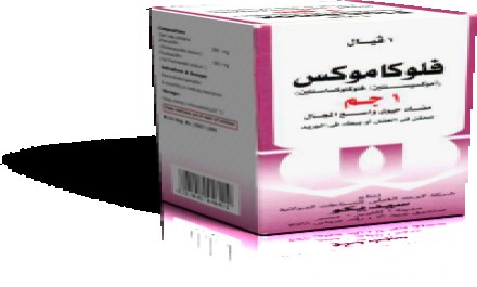 Flucamox 1 gm Vial - Rosheta
