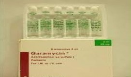 Rigaminol 40mg Ampoules - Rosheta