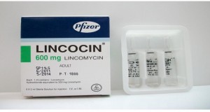 Linconocure 600mg Ampoules - Rosheta