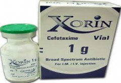 Xorin 1000mg Vial - Rosheta