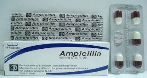 Ampicillin Forte 500mg Capsule - Rosheta