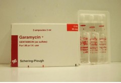 Garamycin Amp. 80mg Ampoules - Rosheta
