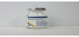Streptomycin 1000mg Vial - Rosheta