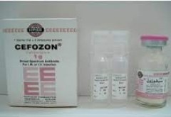 Cefozon 1gm Vial - Rosheta