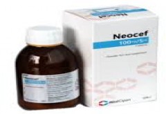 Neocef 250mg Syrup - Rosheta