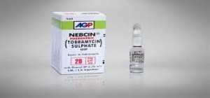 Nebcin 20mg Ampoules - Rosheta