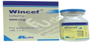 Wincef 500 mg Vial - Rosheta