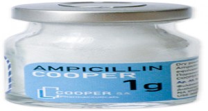 Epicocillin 500mg Capsule - Rosheta