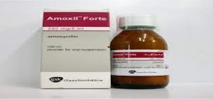 AMOXIL FORT 250mg Syrup - Rosheta