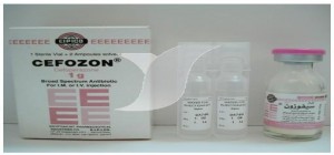 Cefozon 1gm Vial - Rosheta