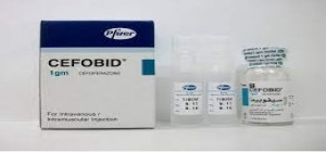 Cefobid 1gm Vial - Rosheta