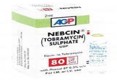 Nebcin 80mg Infusion - Rosheta