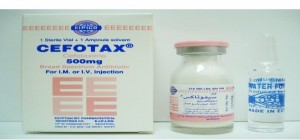 Cefotax EIPICO 500mg Vial - Rosheta