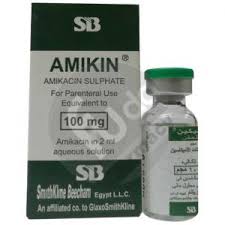 Amikin 100mg Ampoules - Rosheta