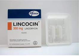Lincocin 300mg Ampoules - Rosheta