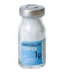 Ampicillin Misr 250mg Vial - Rosheta