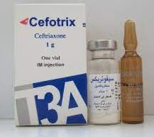 Cefotax T3A 1000mg Vial - Rosheta