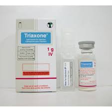 Triaxone 1000mg Ampoules - Rosheta