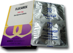 Flucamox 125mg Syrup - Rosheta
