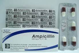 Ampicillin Misr 500mg Capsule - Rosheta