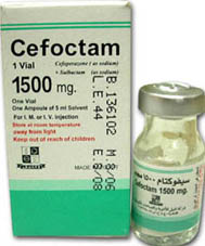 Cefoctam 1000mg Ampoules - Rosheta